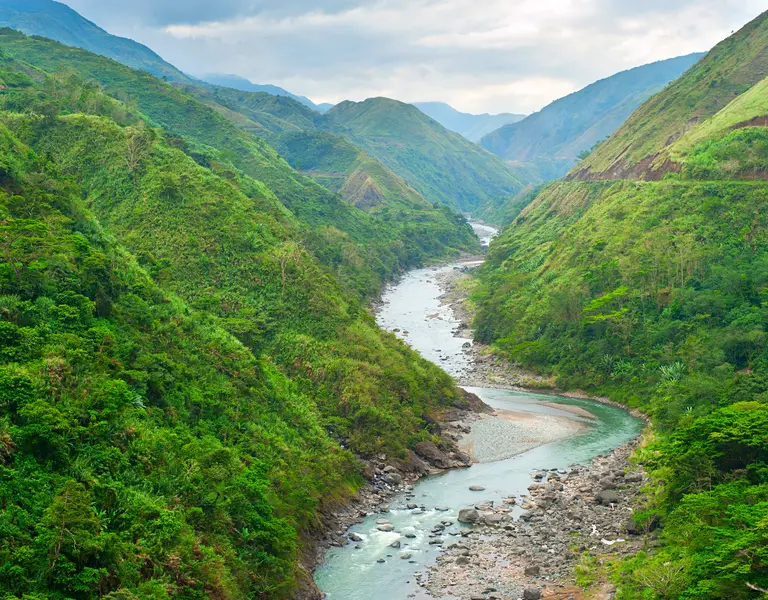 TIMELINE: Losing, Saving Philippine Forests | Pulitzer Center