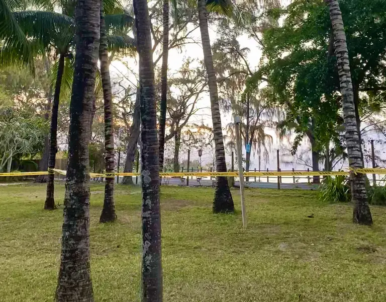 How Mauritius Handled COVID-19 and What the United States Could Learn ...