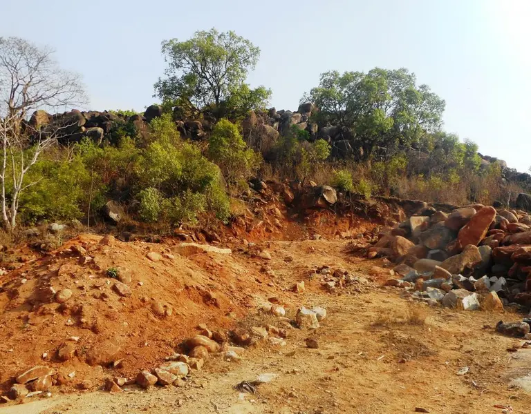 Save The Sarnas | Pulitzer Center