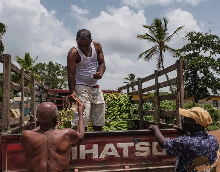 The Bitter Work Behind Sugar | Pulitzer Center