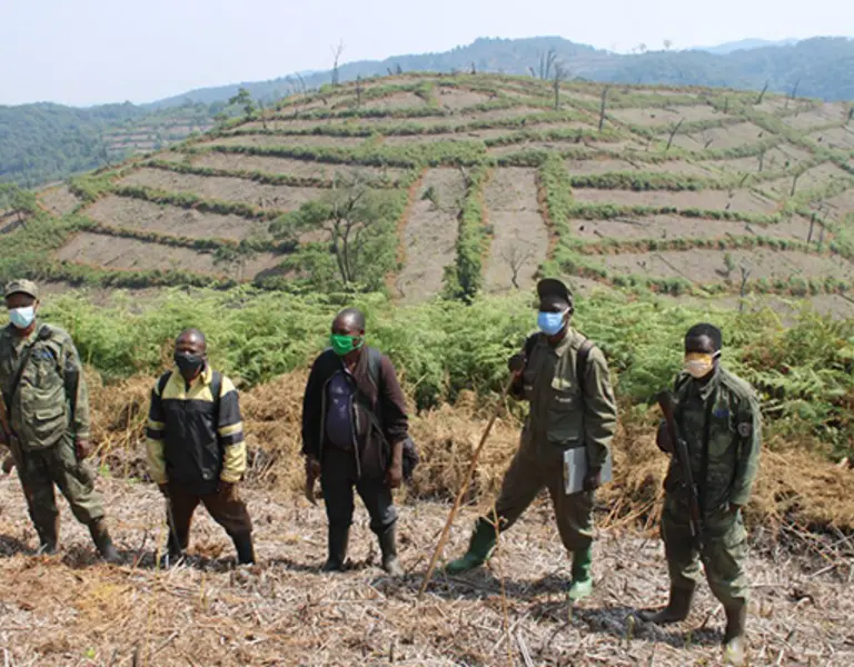 Indigenous Communities on Frontlines of Protecting Rwanda’s Largest ...