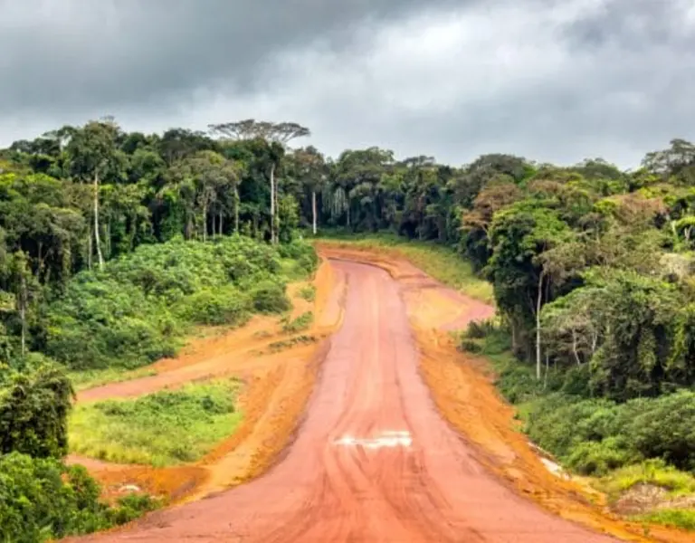 Gabon: Towards Sustainable Certification of the Timber Industry ...