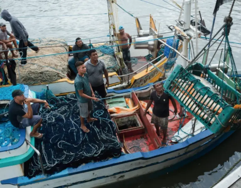 ‘Gold in the Sea’: Brazil’s Booming Fish Bladder Trade | Pulitzer Center