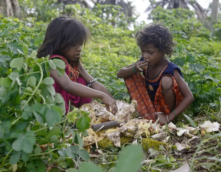 Hungry Nation | Pulitzer Center
