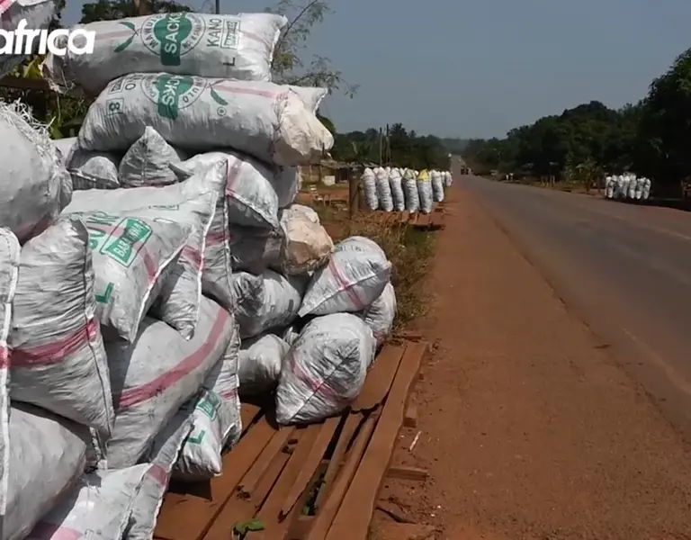 CAMEROON: Administrative Hassles Cripple Legal Coal Mining [French ...