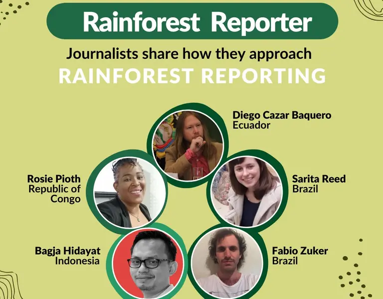 Rainforest Journalism Fund Introduces 'Rainforest Reporter' Series ...