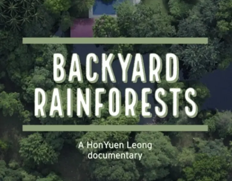 Documentary: 'Backyard Rainforests' | Pulitzer Center