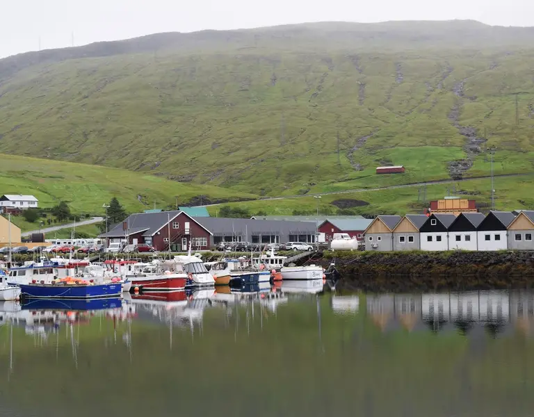 The Grindadráp: A Faroese Legacy | Pulitzer Center