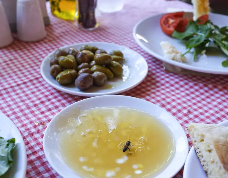 Turkey’s Honey Apocalypse Is a Warning to the World | Pulitzer Center