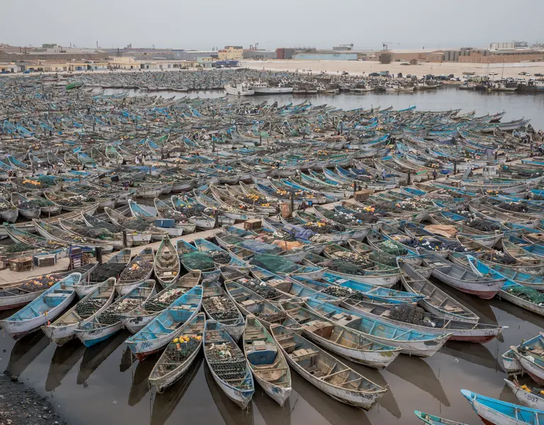 The Rampant Exploitation of Mauritania’s Octopus Fishery | Pulitzer Center
