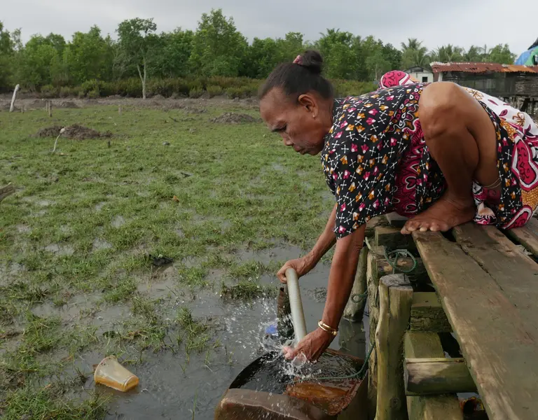 Sumatran Coastal Village Scrambles To Save Lost Livelihood ...