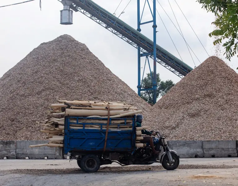 Vietnam S Forests Have Been Cleared To Supply The World S Timber