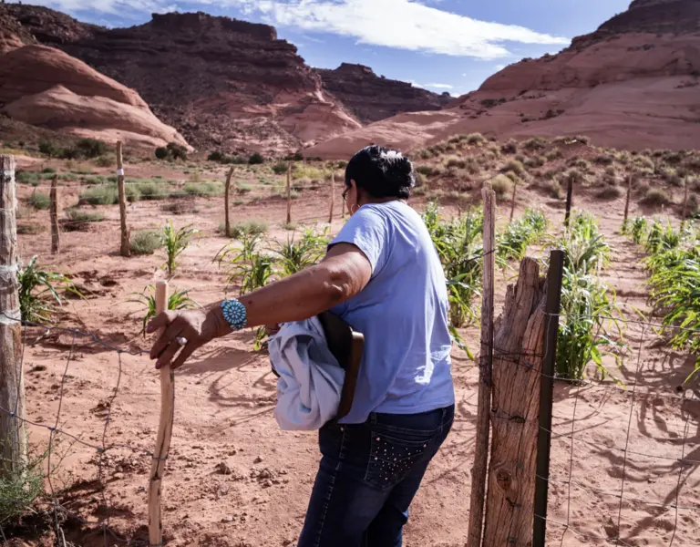 On the Navajo Nation, A Life Without Water | Pulitzer Center