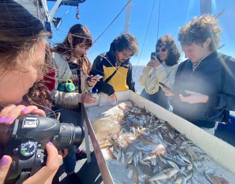 Collaboration, Innovation Define Pulitzer Center OJA Winners | Pulitzer ...