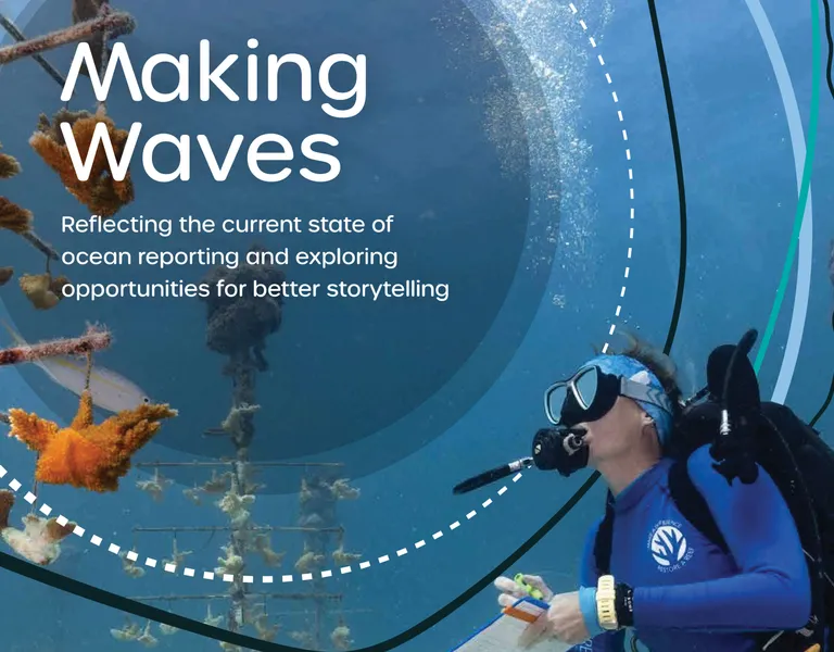 Making Waves: Report Charts a Course for Ocean Reporting | Pulitzer Center