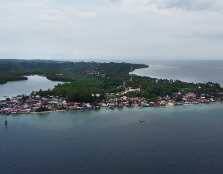 Threats to the Remaining Natural Forests on Sipora Island | Pulitzer Center