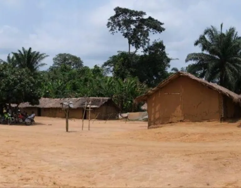 Carbon Credits in the Congo: The Cost of Capture, Part 2 | Pulitzer Center