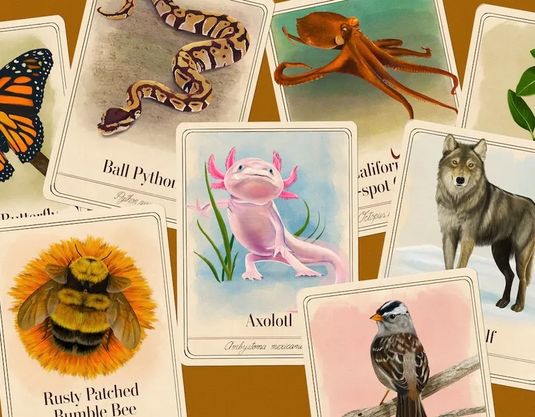 What’s at Stake When Species Disappear | Pulitzer Center