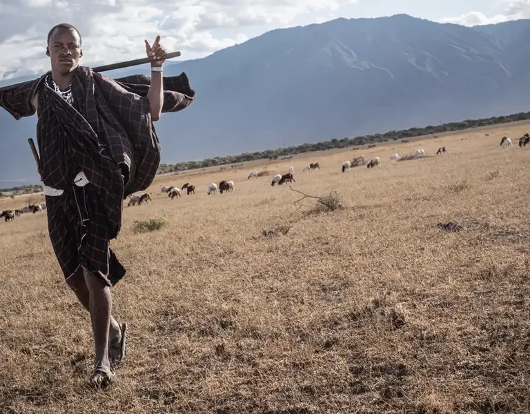 Tanzania’s Maasai, Wildlife Corridor Face Growing Pressure | Pulitzer ...