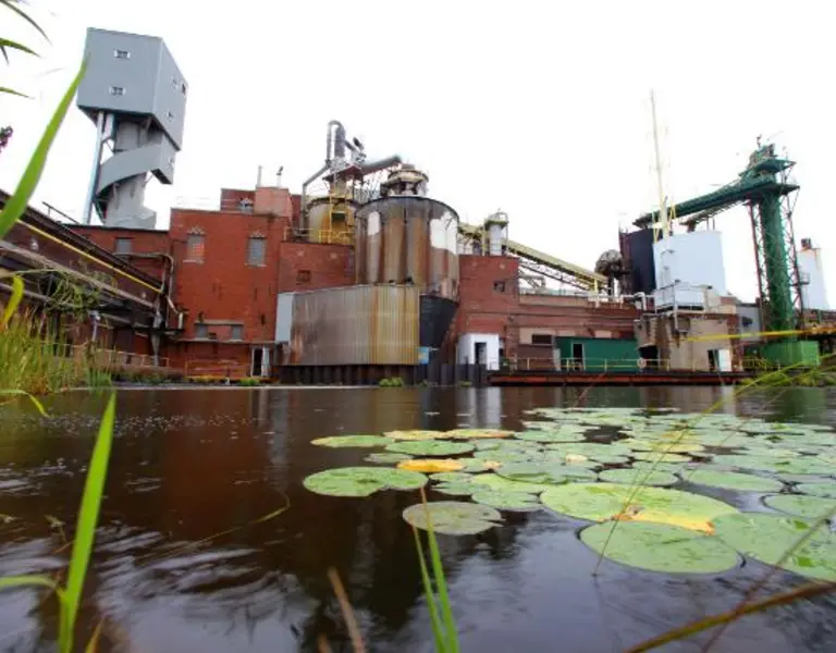 Wisconsin Paper Industry Has Enhanced Forest Stewardship | Pulitzer Center