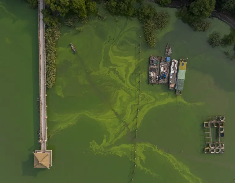 Introducing the Story of 'Losing Earth' | Pulitzer Center