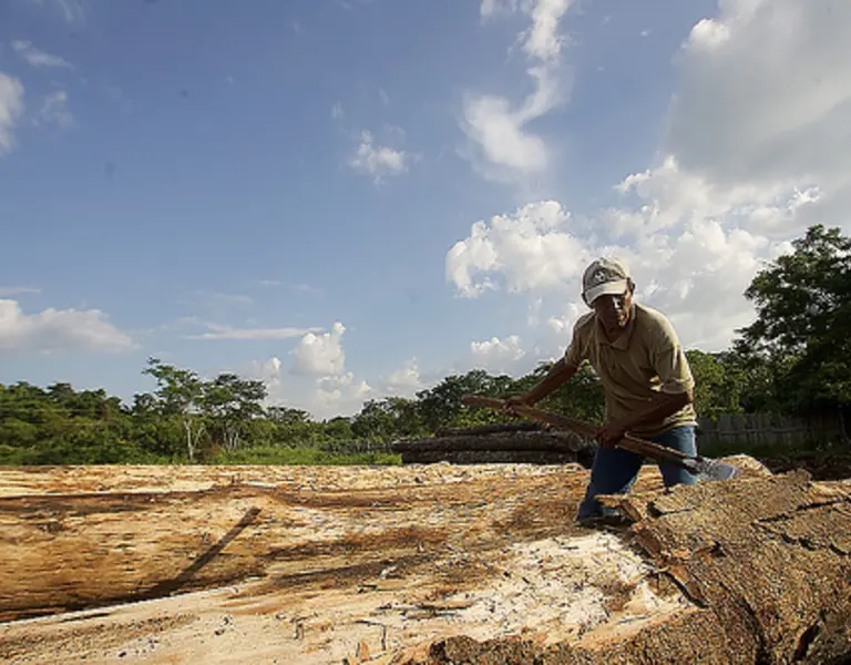 Guatemala: The Future of Petén | Pulitzer Center