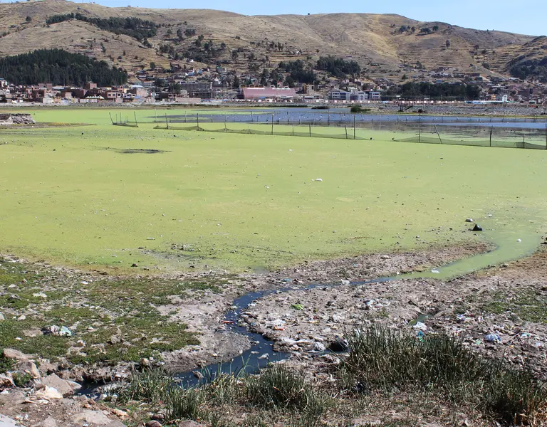 Peru and Bolivia: Pollution Endangers Fishermen's Livelihood | Pulitzer ...