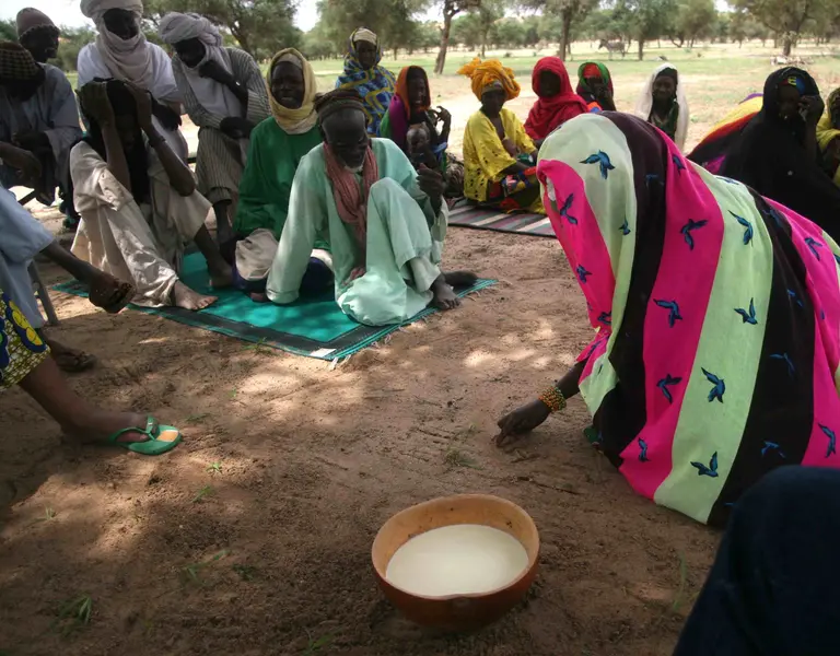 What Next? Crisis and Post-Crisis in Northern Niger | Pulitzer Center