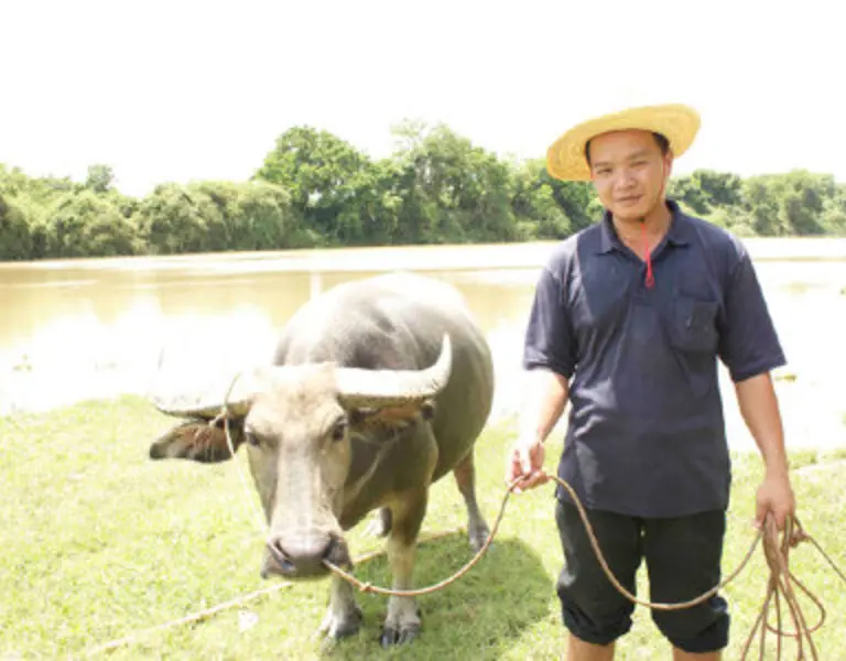 A Single Man: One Chinese Bachelor's Search for Love | Pulitzer Center