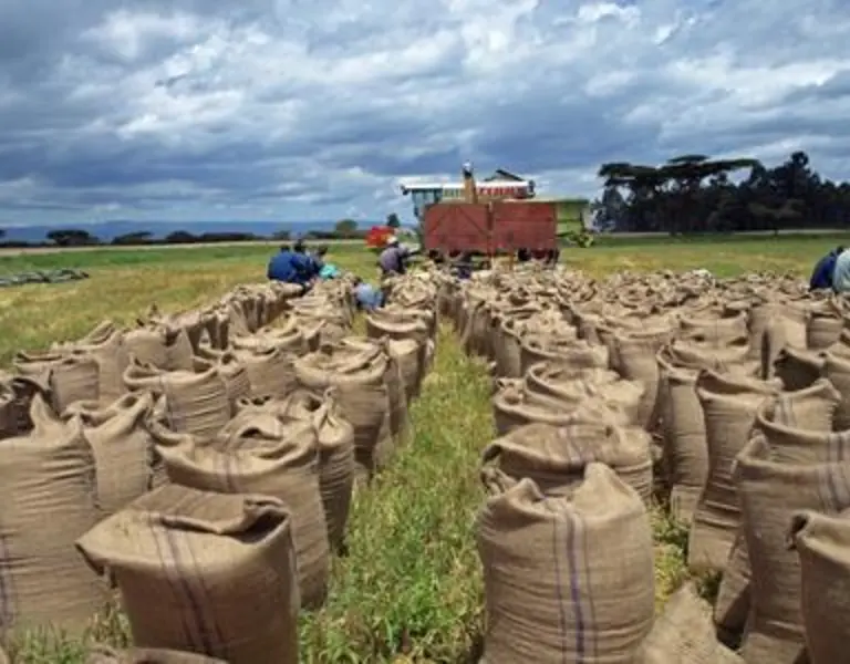 Lesson Plan: Food Insecurity | Pulitzer Center