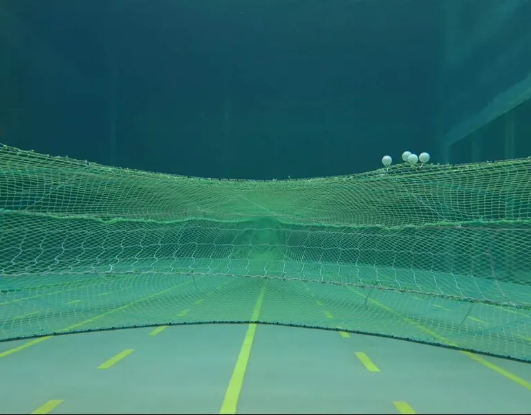 Bottom-Trawl Fishermen Who Snagged Orcas Try ‘Echoreflective’ Netting ...