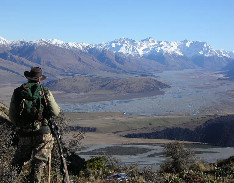 New Zealand’s Shifting Attitudes on Firearms Regulation Since ...