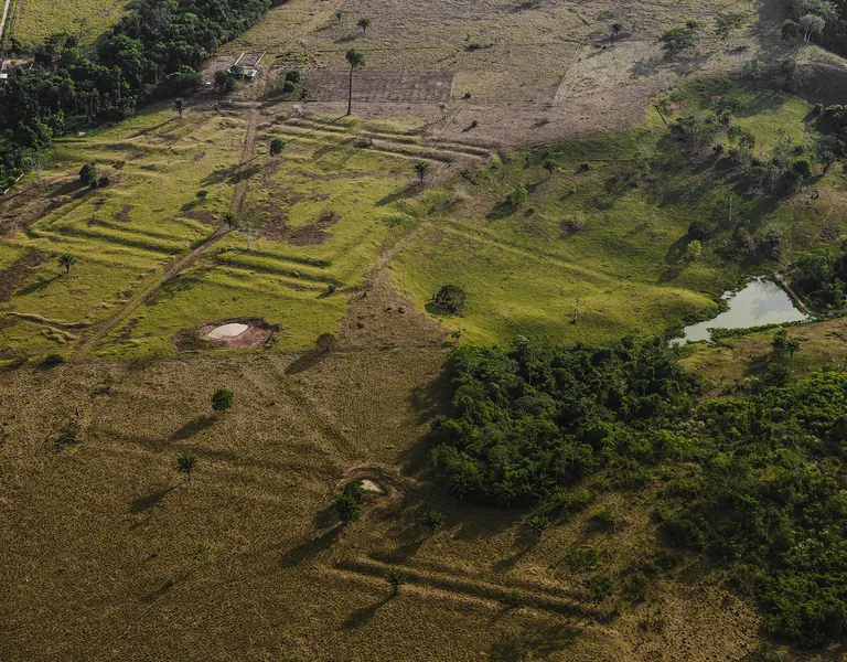 Lost Cities of the Amazon: How Science Is Revealing Ancient Garden ...