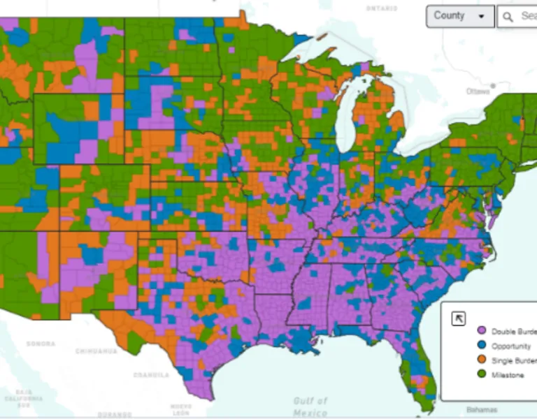 Maternal Mortality Factors Highlighted in Federal Agency Map | Pulitzer ...