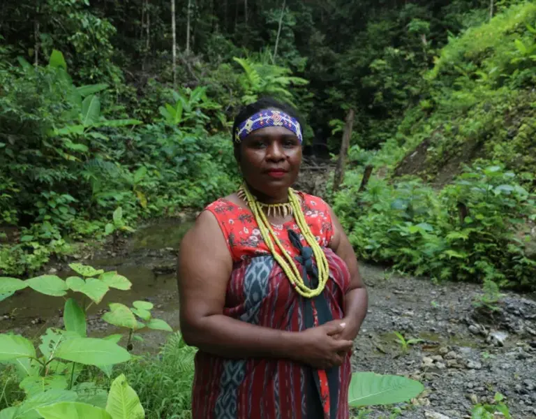 Forest Recognition for Papua Tribe Raises Hopes for Climate | Pulitzer ...