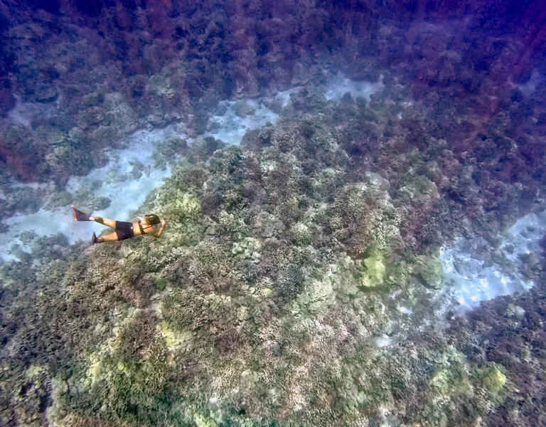 Hawaii’s Love Affair With Cesspools Is Ruining Its Reefs | Pulitzer Center