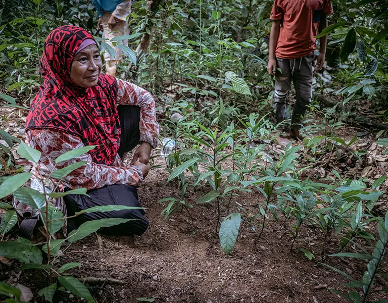 Customary Landscapes, Potential Conservation Areas on Bangka Island ...