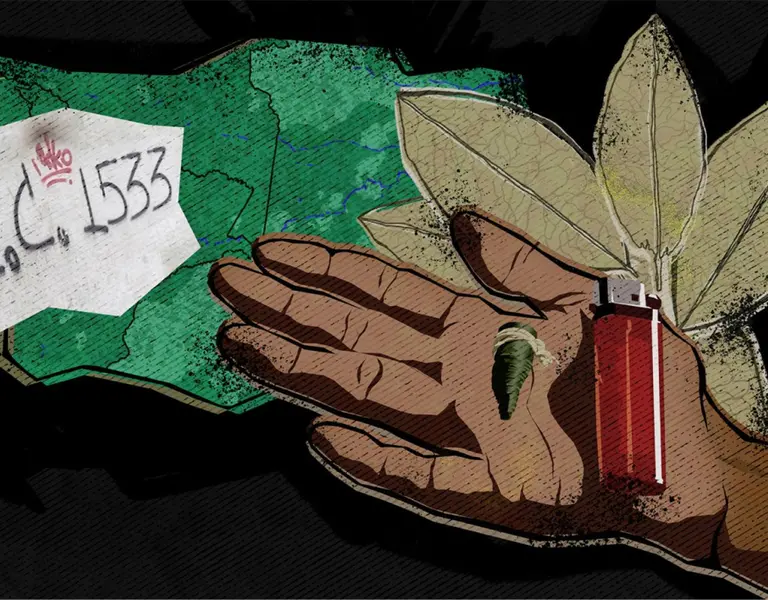 Los narcos más pobres en la cadena del narcotráfico | Pulitzer Center