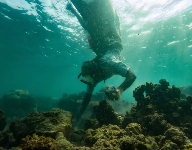 Pulitzer Center Announces 14 Impact Seed Fund (ISF) Projects | Pulitzer ...