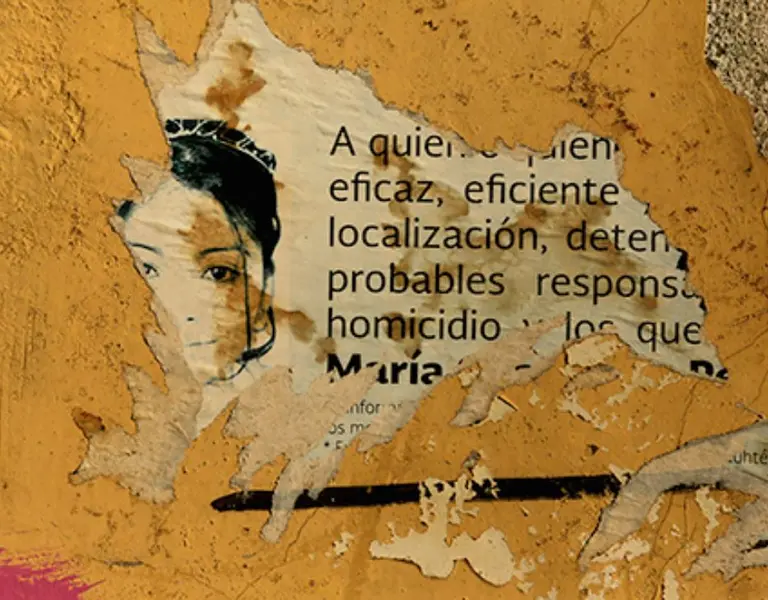 Poetic Justice: Using Journalism and Poetry to Illuminate Injustice ...