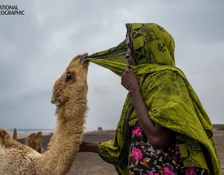 Analyzing Infographics to Evaluate Migration Trends