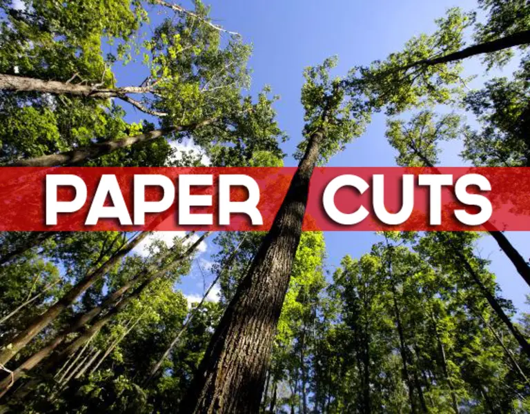 This Week in Review: Paper Cuts | Pulitzer Center