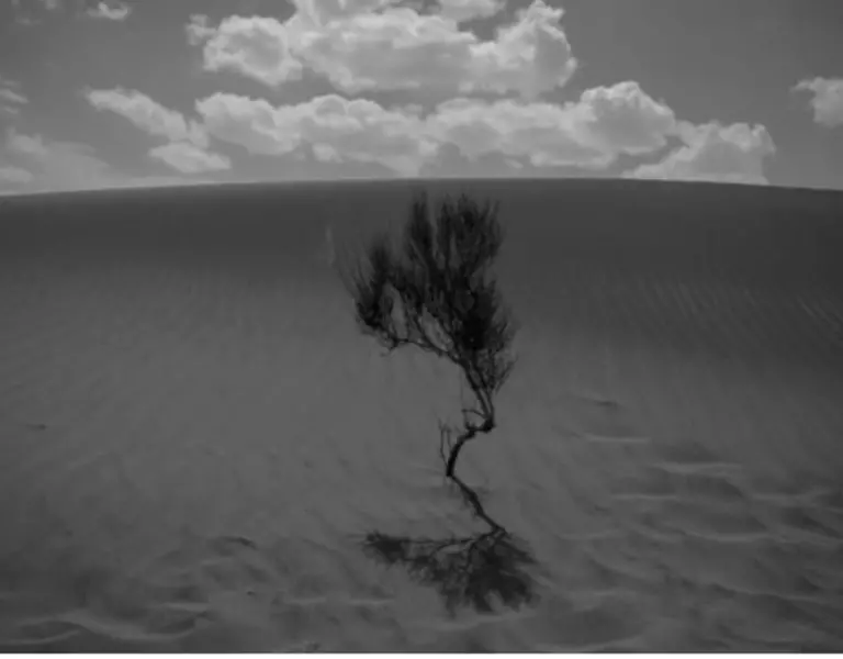 Climate Change Reporting [Selections for Grades K-12] | Pulitzer Center