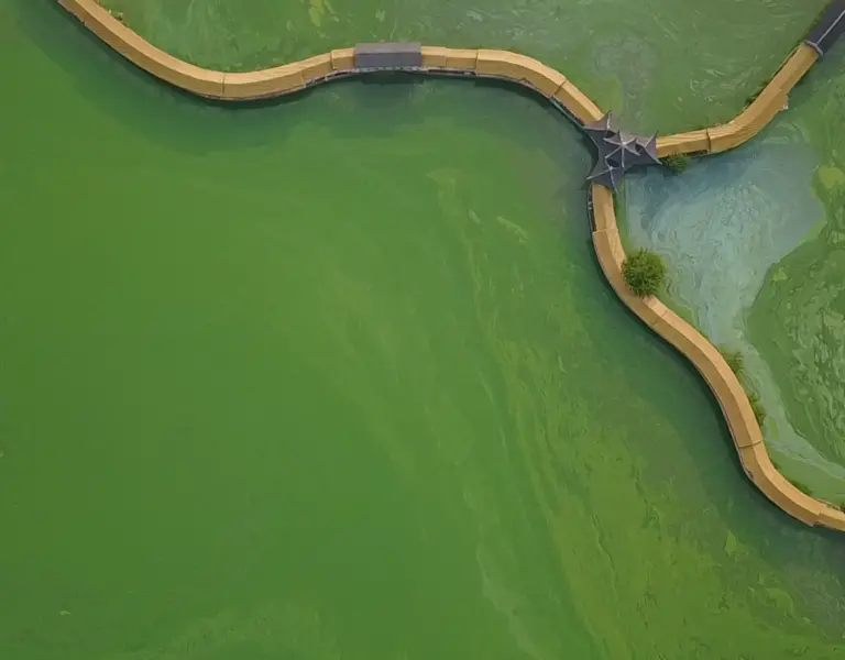 Toolkit for Your Next Discussion on the Environment and Climate Change ...