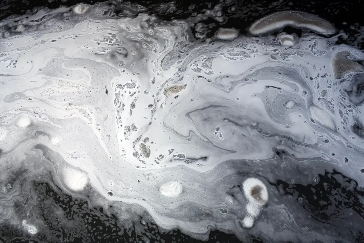 India: The Toxic Price of Leather | Pulitzer Center