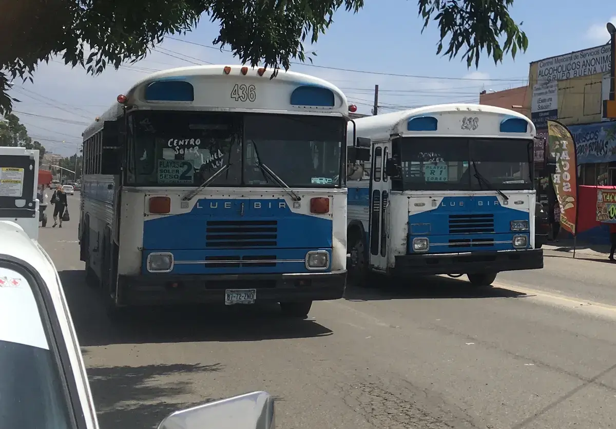 Tijuana: A New Bus Line's Rough Ride | Pulitzer Center