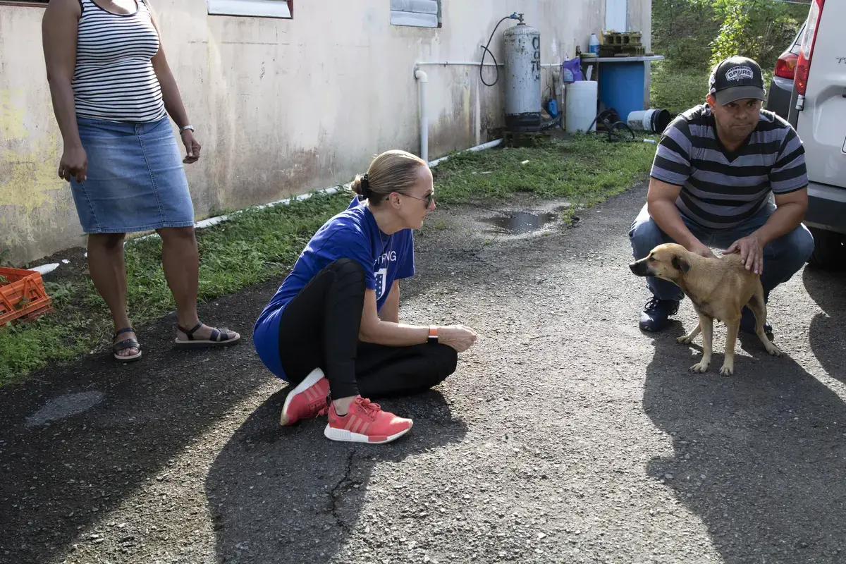 No Dogs Left Behind: The SATO Project in Puerto Rico | Pulitzer Center