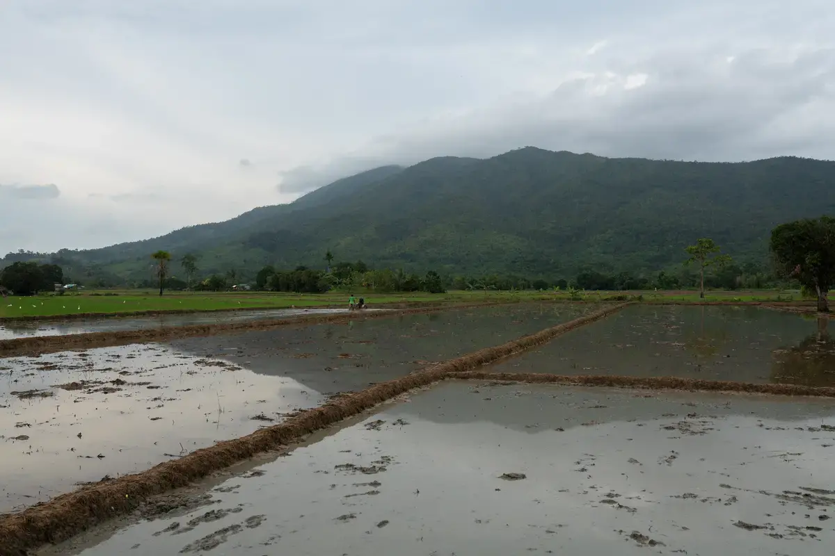 Palawan Authorities Rezone Forest to Allow Mining | Pulitzer Center