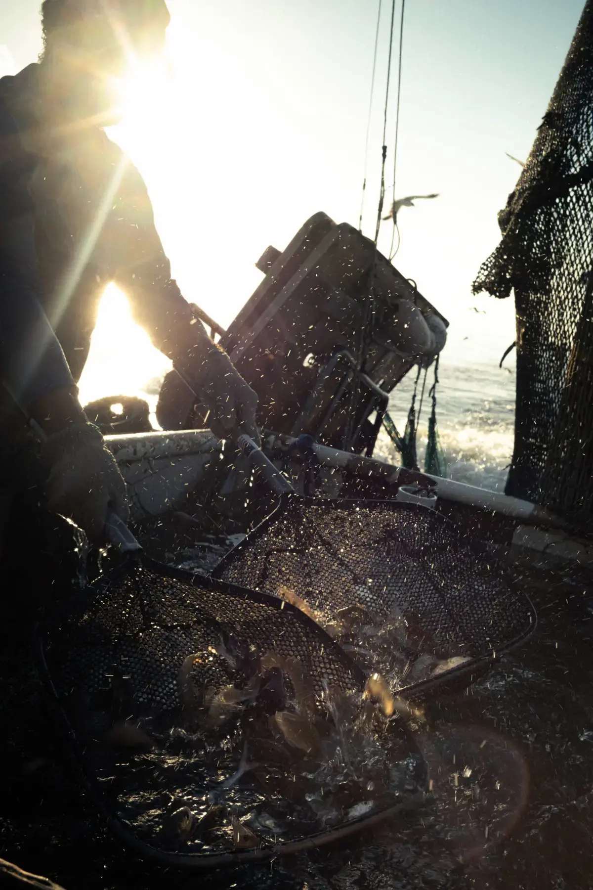 The Export Boom | Pulitzer Center