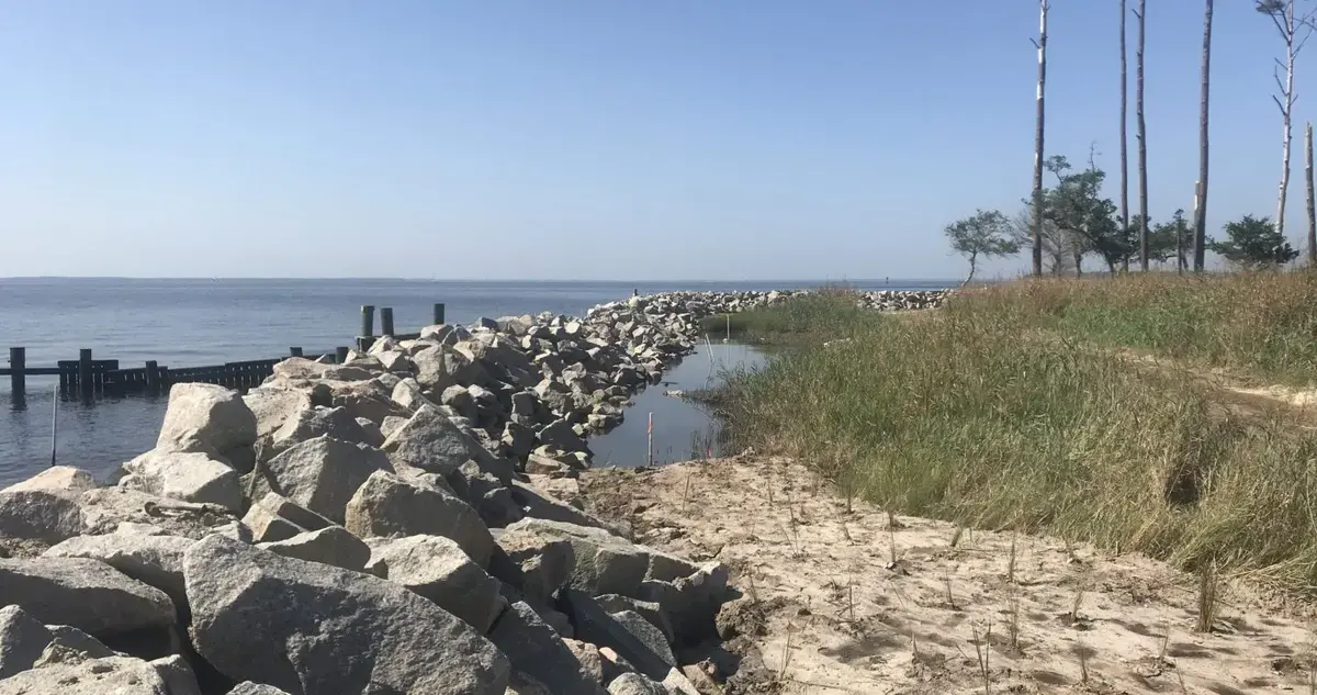 Seeking Solutions for NC Shoreline and Fisheries | Pulitzer Center
